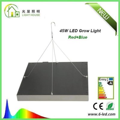 Energy Saving Waterproof LED Plant Grow Lights / Hydroponic LED Grow Lights 3W - 120W