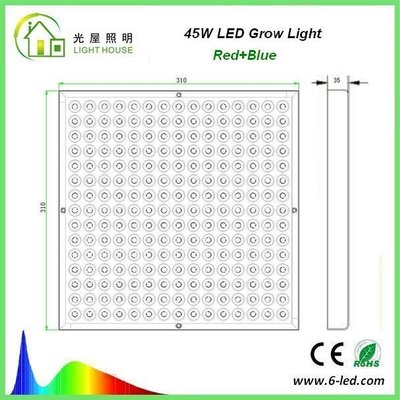 8W Hydroponic Blue / Red LED Lights For Growing Plants Indoors , 3 Years Warranty