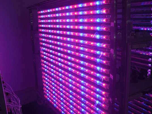 14 Watt Hydroponic LED Tube Grow Lights Blue / Red Light Source , Dia26*900mm