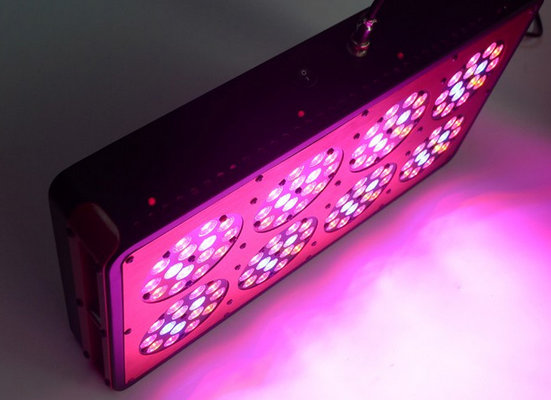 350W Power Hydroponic LED Grow Light Full Spectrum For Medical Plants