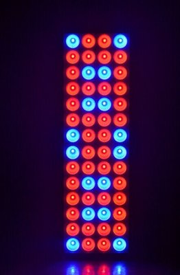 120w 5FT Hydroponic Led Grow Light For Medical Plant / 2 Years Warranty