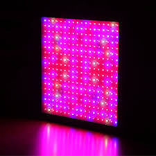 14 Watt Vegetable Led Lights For Growing Plants Indoors , LED Weed Grow Lights