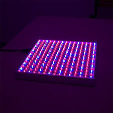 Indoor Plant LED Tube Grow Lights High Power For Horticulture / Greenhouse