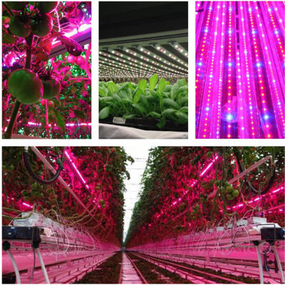 T8 4 Feet Hydroponic Led Grow Lights For Vegetables / Flower , AC85-265V Input