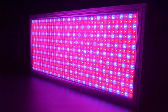 Ultrathin Greenhouse Led Grow Lights For Vegetables / Spectrum Grow Lights Indoor Plants 110V