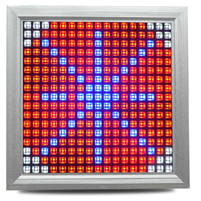 AC 100 - 240V Waterproof LED Grow Lights / Hydroponic Growing Lights For Outdoor Plants