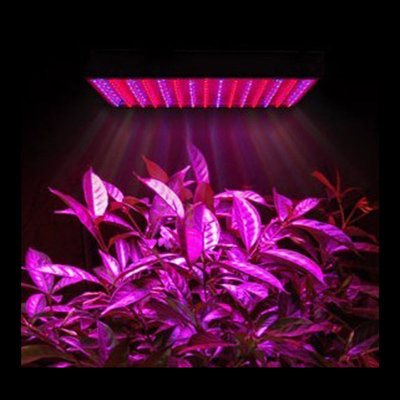 Marijuana Full Spectrum LED Grow Lights Dimmable For Growing Plants Indoors