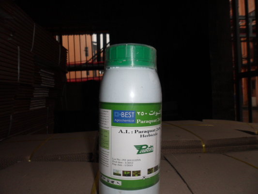 Paraquat 20% SL Agro Pesticides Non Selective Herbicide Cas No.4685-14-7