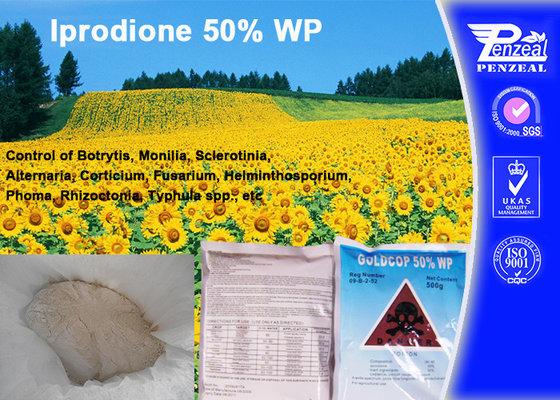 Systemic Fungicide For Apple Trees / Berry Fruit , Iprodione 50% WP