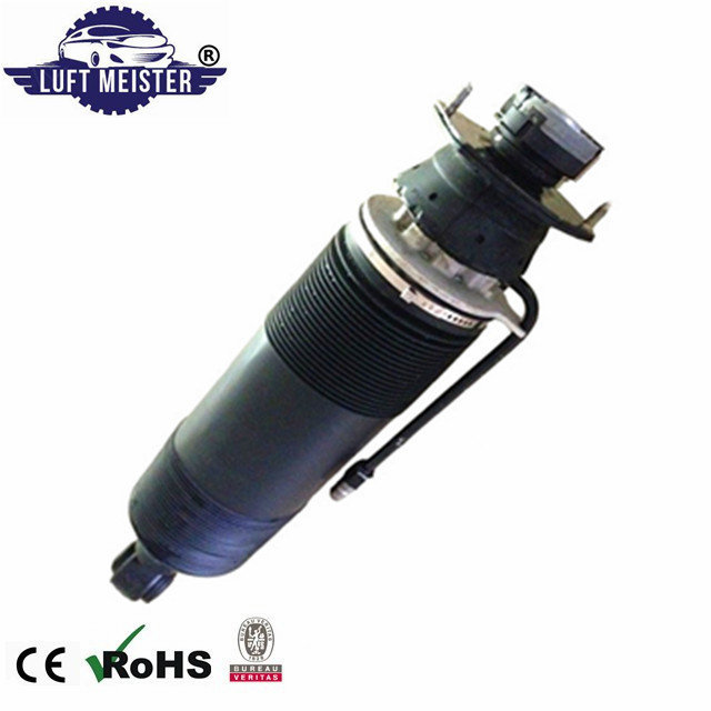 Rear Suspension Strut For Mercedes R230 SL500 SL600 Hydraulic Shock 2303204238 2303204138 supplier