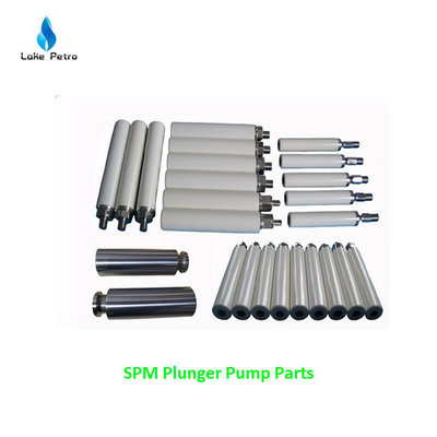 TWS600S plunger pump parts