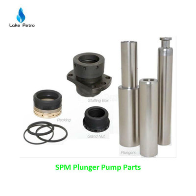 TWS600S plunger pump parts
