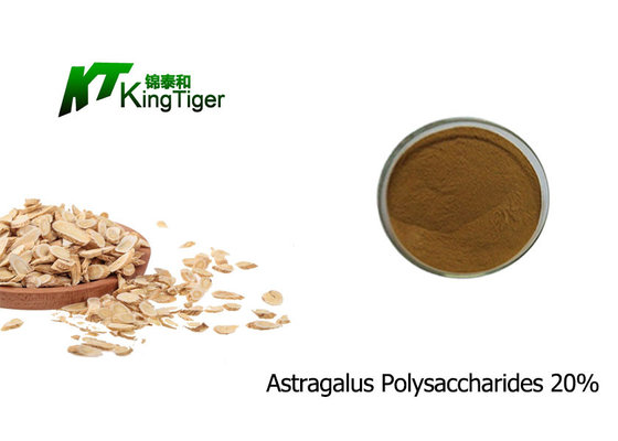 20% Natural Plant Extract , Astragalus Extract Powder For Supplements