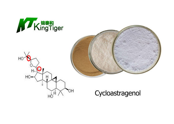 5% - 98% Cycloastragenol Supplement , Astragalus Root Extract For Energy Drink