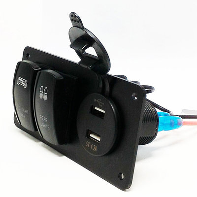 HOT 2 gang Rocker Switch Panel with Dual USB Charger and voltmeter