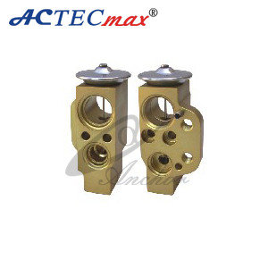 OEM Infiniti G20( 02 - 99 ) AC expansion valves With 922002G000 / 922005G000