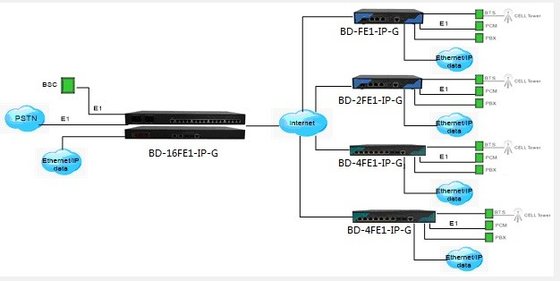 Framed 16 E1 over Fast Ethernet TDM over IP Converter