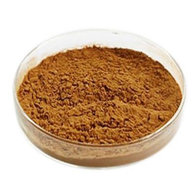 Natural Herbal Extract Seabuckthorn Extract Hippophae Rhamnoides Linn CAS 525 82 6
