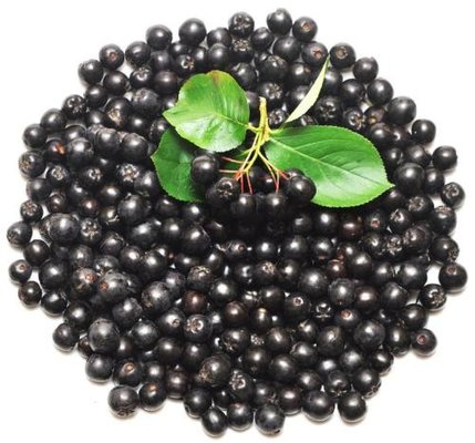 Organic Plant Extract Black Chokeberry Extract Powder Aronia Melanocarpa Nature Herbal Powder CAS 9876 97 1