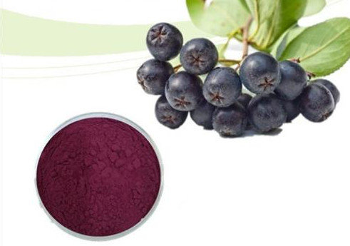 Aronia Chokeberry Fruit Juice Powder Aronia melanocarpa Michx Elliott protect the pulp