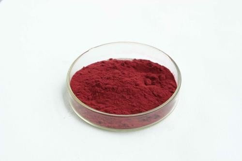 Blueberry Fruit Juice Powder Enhance The Immune System Ability