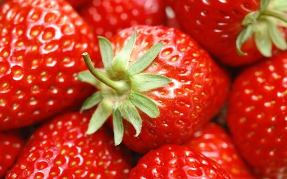 Food Ingredients Strawberry Powder Fragaria × ananassa Duch.