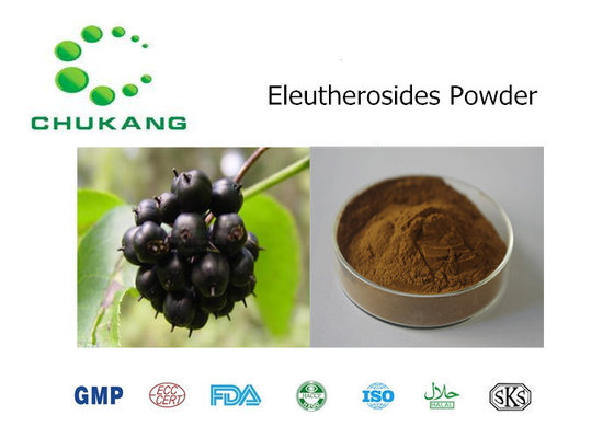 Siberian Ginseng Plant Extract Powder CAS 501 36 0 Eleutherosides