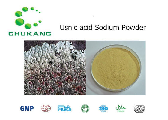 Usnic Acid Sodium Botanical Powder Usnea barbata CAS 7562 61 0