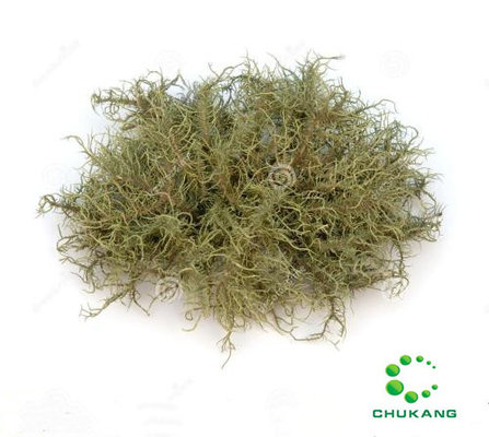 Usnic Acid Sodium Botanical Powder Usnea barbata CAS 7562 61 0