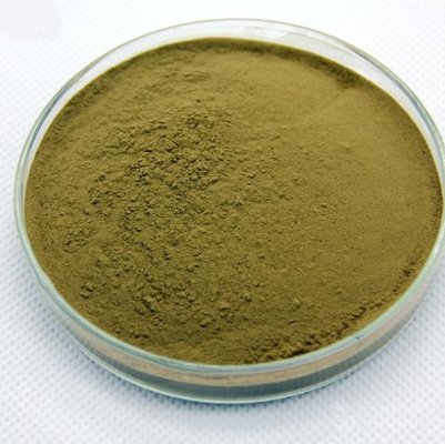 Bitter Melon Extract Powdered Herbal Extracts Clearing AwayHeat
