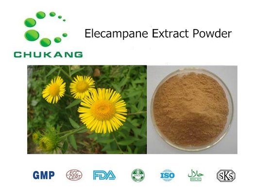 Elecampane Extract Antiasthmatic And Antitussive Effects Pure Nature