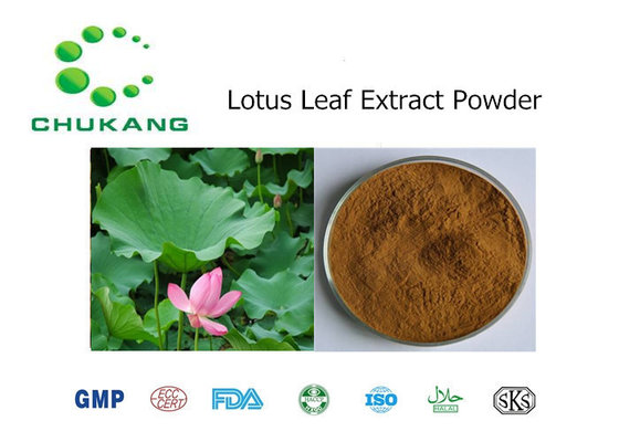 Lotus Leaf Extract Nuciferine Plant Extract Powder Nelumbo nucifera Gaertn 