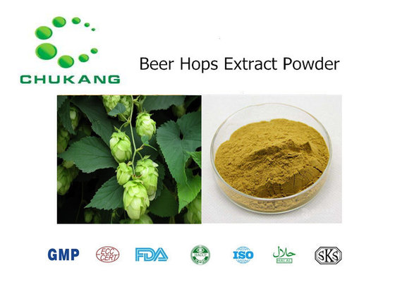 Beer Hops Extract Humulus lupulus Plant Extract Powder CAS 8060 28 4