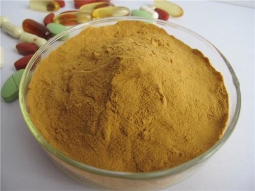 Honeysuchkle Extract Powdered Herbal Extracts Lonicerajaponica