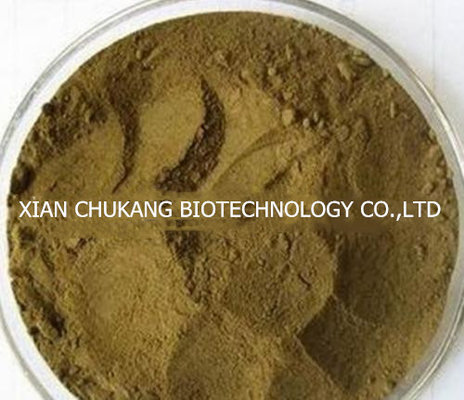 Berberis Aristata Extract Powdered Herbal Extracts Pure Nature Herbal Extract
