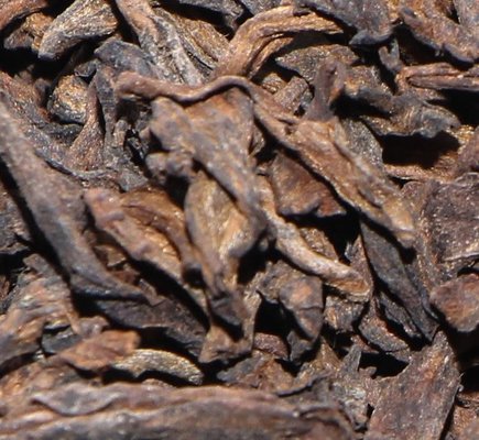 Pu'er Tea Extract Powder 10:1 20:1 Camellia Sinensis Var Assamica With Tea Fragrance