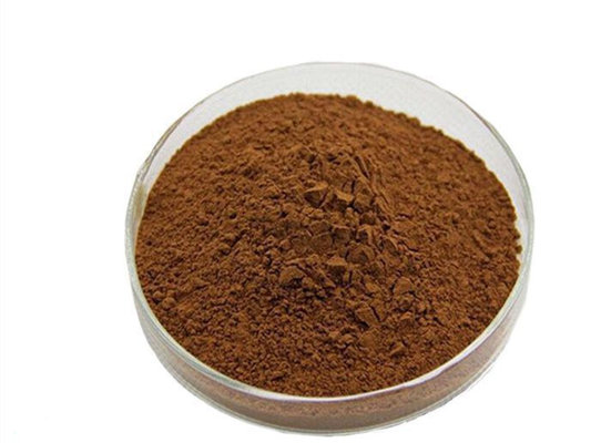 Pu'er Tea Extract Powder 10:1 20:1 Camellia Sinensis Var Assamica With Tea Fragrance