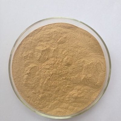 Import Nature Herbal Powder Kacip Fatima Extract Kacip Fatimah Plant Extract