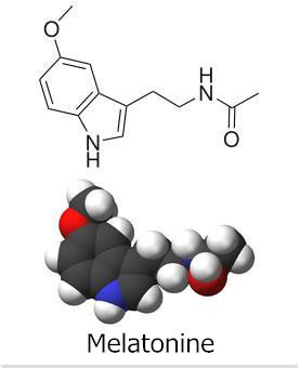 Melatonine Pharmaceutical Intermediates Boost The Immune System CAS 73 31 4