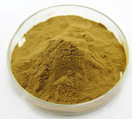 Cassia Nomame Plant Extract Powder Cortex Cinnamomi Natural Herb Powder