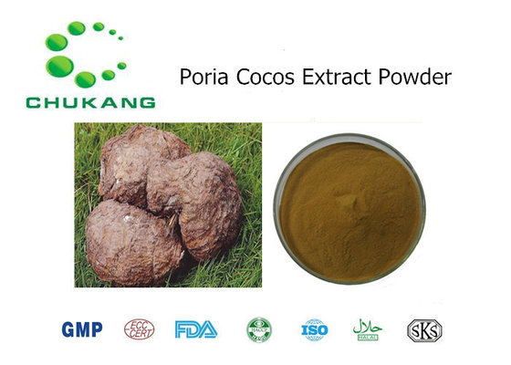 Poria Cocos Plant Extract Powder Polysaccharides Poria Cocos Wolf