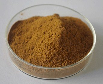 Cordyceps Sinensis Plant Extract Powder Cordycepic Acid Organic Herbal Powder