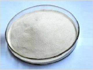 Chicory Inulin Plant Extract Powder Cichorium intybus CAS 9005 80 5