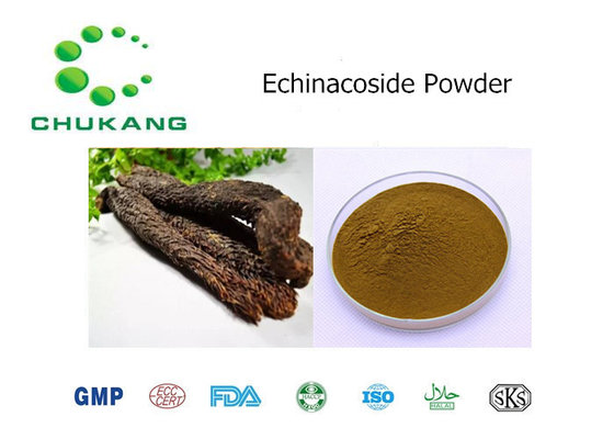 Echinacoside Plant Extract Powder Echinacoside Herba Cistanches  Food Ingredients