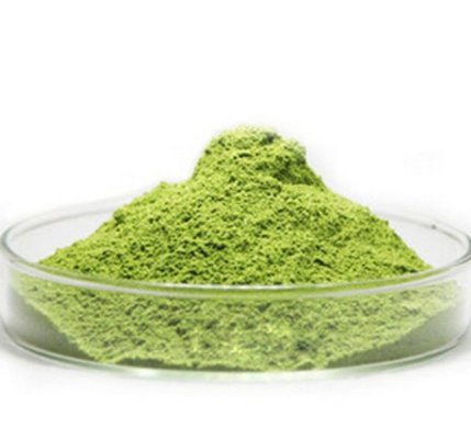 Moringa Leaf Powdered Herbal Extracts Trifolium Pratense L Food Ingredients