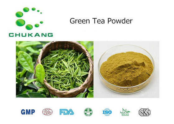 Green Tea Powdered Herbal Extracts Camellia Sinensis Natural Herb Powder