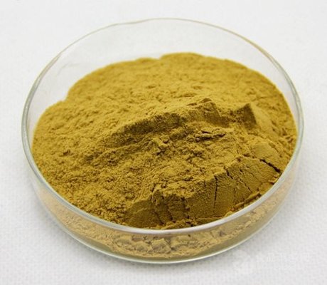Ginkgo Biloba Powdered Herbal Extracts Reduce The Level Of Cholesterol In Human Blood
