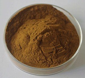 Moringa Powdered Herbal Extracts Moringa Oleifera Lam  Treasure All Over The Body