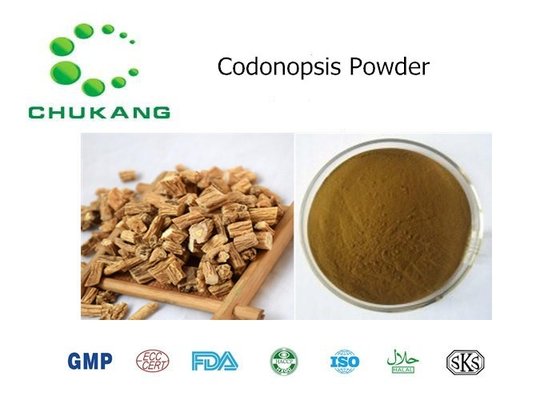 Codonopsis Powdered Herbal Extracts Codonopsis Pilosula Franch Nannf Organic Herbal Powder