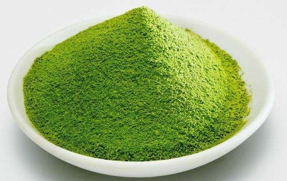 Wheat Grass Powdered Herbal Extracts Triticum Aestivum L Natural Ingredients